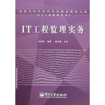 IT工程监理实务