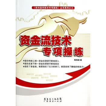 资金流技术专项操练/股市赢利技术专项操练丛书系列