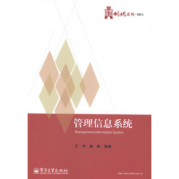 管理信息系统 王宇 管理 9787121238604