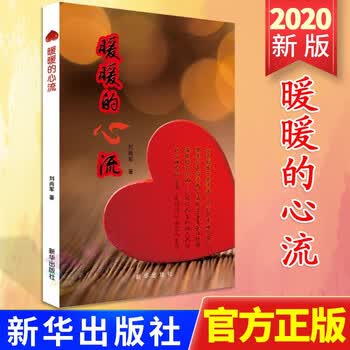 暖暖的心流 心理学书籍 新华出版社