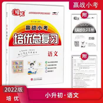 2022版培优总复习 语文