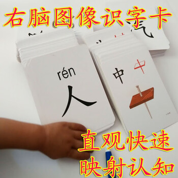 【老师推荐】幼早教启蒙 直映识字卡片 左右脑看图画认字卡片生汉字卡 超大卡 小号/第二册