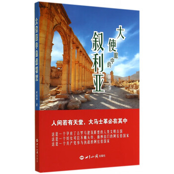 大使眼中的叙利亚