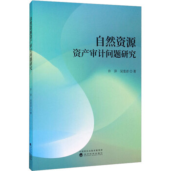 自然资源资产审计问题研究