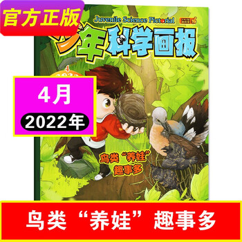 【6月新到】少年科学画报杂志2022年6月（全年订阅/2021年可选）青少年优秀少儿报刊小学初中生百科儿童过期刊【单本】 22年4月-鸟类“养娃”趣事多
