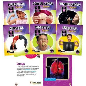 Body Systems