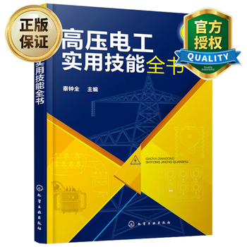 正版 高压电工实用技能全书 高压电工操作技术入门书籍 电工作业电气设备操作安全 零基础学电工知识书籍