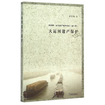 大运河遗产保护/新视野文化遗产保护论丛