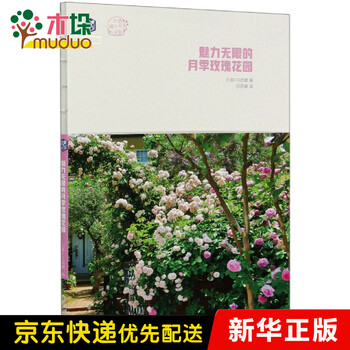 魅力无限的月季玫瑰花园/打造超人气花园