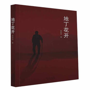 正版当日发货 地丁花开  小说张宗涛百花文艺出版社（天津）有限公司