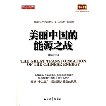 美丽中国的能源之战/读点石油财经丛书
