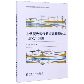 非常规致密气储层裂缝表征及甜点预测