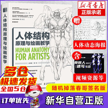 人体结构原理与绘画教学 肖玮春（画画的春哥）著 新书