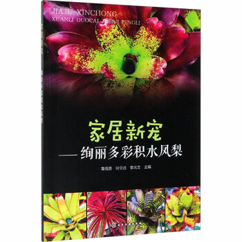 家居新宠——绚丽多彩积水凤梨