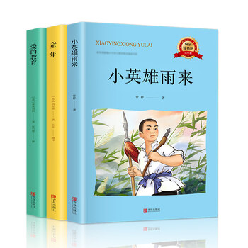 快乐读书吧 六年级上册 小英雄雨来+童年+爱的教育（套装共3册 插图版）