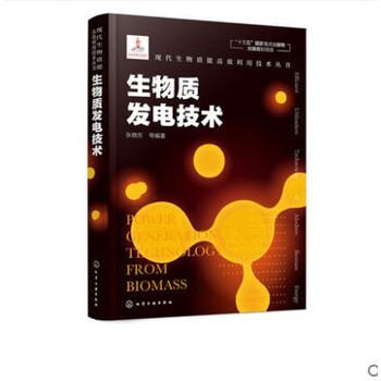 现代生物质能高效利用技术丛书 生物质发电技术