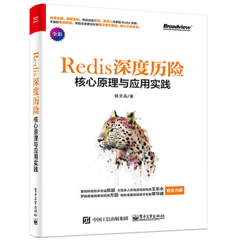 Redis深度历险(核心原理与应用实践全彩)