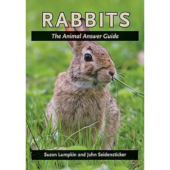 Rabbits