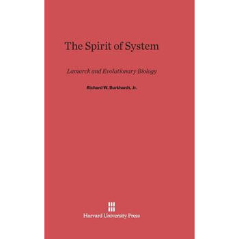 The Spirit of System