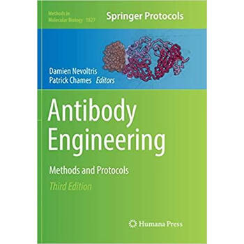 Antibody Engineering: Methods and Protocols