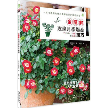 全图解玫瑰月季爆盆技巧