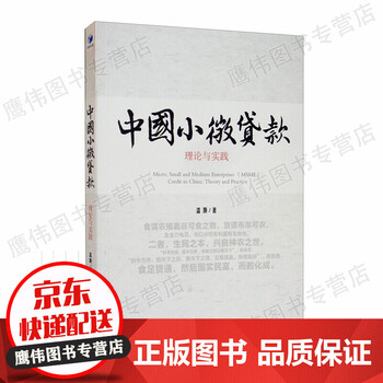 中国小微贷款：理论与实践