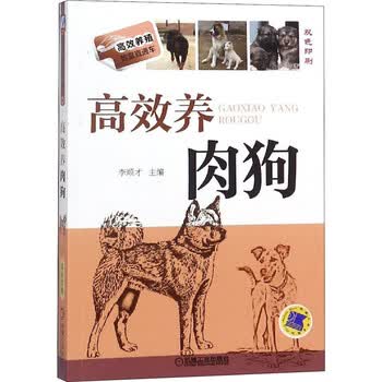 高效养肉狗