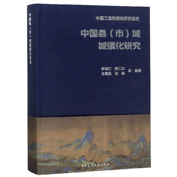 中国县<市>域城镇化研究(精)