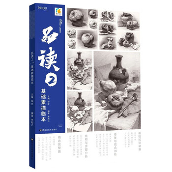 品读2基础素描临本2020教学笔记李彪二钟文几何体到静物单体组合素描体系一本通全集