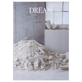 【包邮】订阅DREAM 艺术杂志 西班牙英文原版 年订2期原版