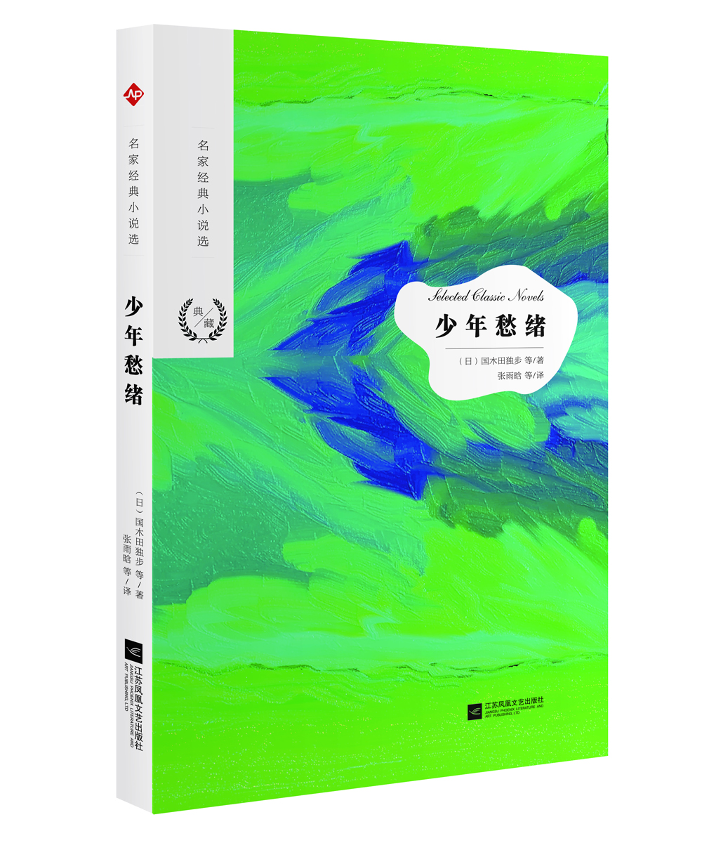 名家经典小说选：少年愁绪9787559423092