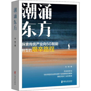 潮涌东方 刘铭 著 官场、职场小说