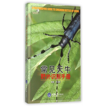常见天牛野外识别手册/好奇心书系