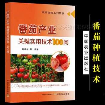 番茄产业关键实用技术100问 赵统敏 正版农村种植基地西红柿小番茄圣女果科学种植技术方法 大棚番茄植