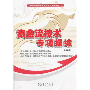 资金流技术专项操练【正版图书】