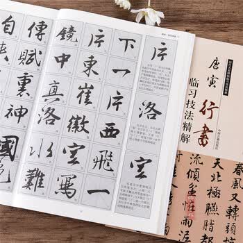 正版】唐寅行书临习技法精解 历代名家碑帖临习技法精解落花诗册 唐伯虎书法入门教程教材