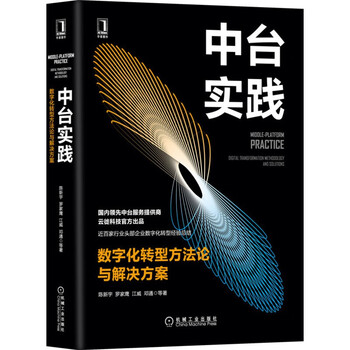 中台实践：数字化转型方法论与解决方案 数据中的战略