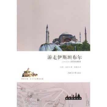 游走伊斯坦布尔/周末读城丛书