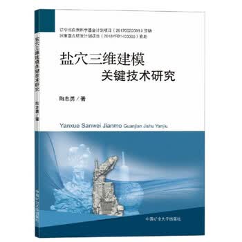 盐穴三维建模关键技术研究