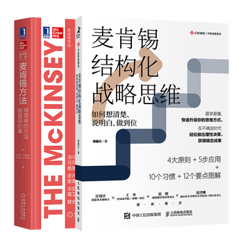  麦肯锡结构化战略思维+麦肯锡方法 用简单的方法做复杂的事书籍