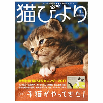 【包邮】订阅猫びより 日本日文原版 猫咪宠物杂志 年订6期