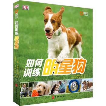 如何训练明星狗