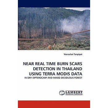 Near Real Time Burn Scars Detection in Thailand