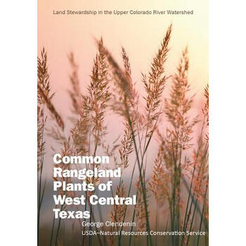Common Rangeland Plants of West Central Texas