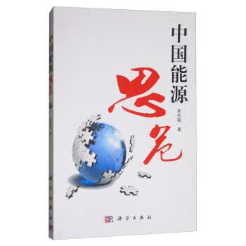 中国能源思危
