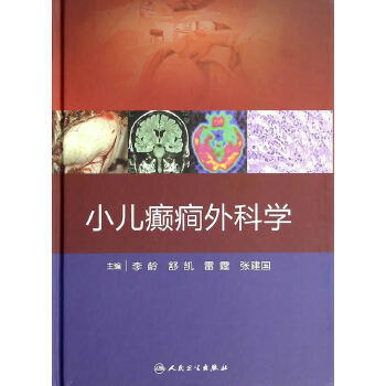 小儿癫痫外科学 李龄　等主编【正版图书】