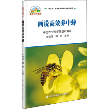 画说高效养中蜂
