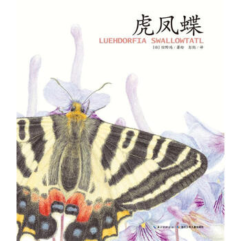 馆野鸿科学绘本:虎凤蝶 馆野鸿【正版书】
