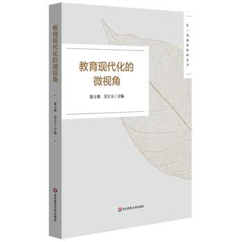 教育现代化的微视角