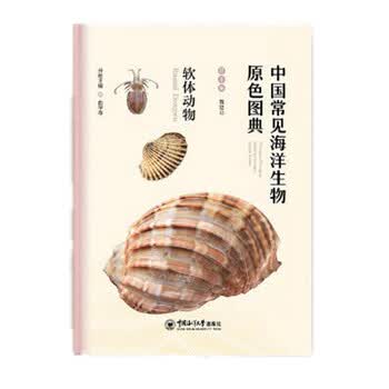 中国常见海洋生物图典  软体动物